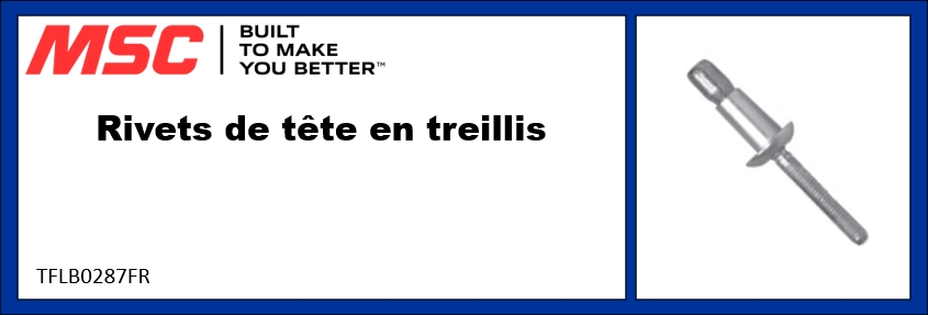 Truss Head Rivets – MSC